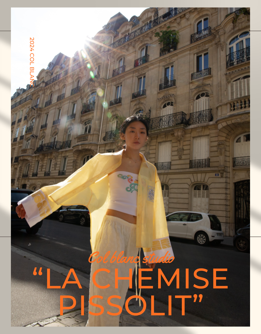 Chemise? Shirt? non c'est jeogori (chemise coréen)