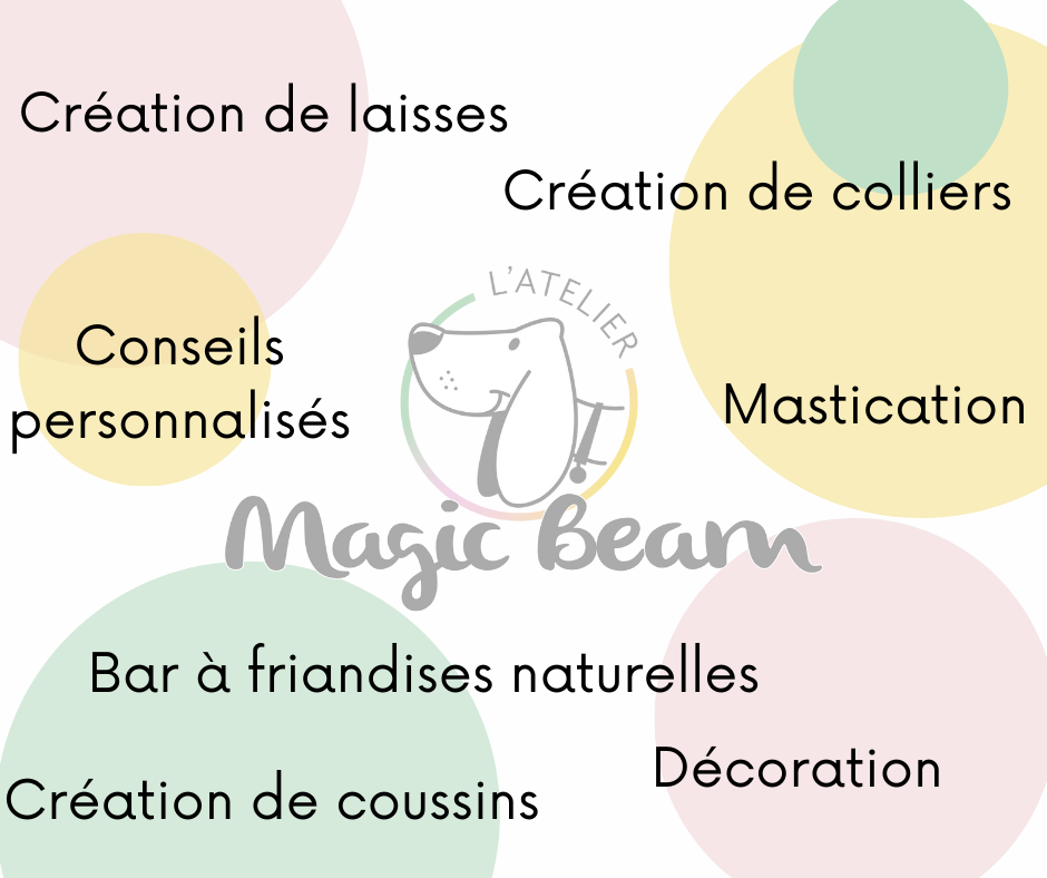 L'atelier Magic Beam - Ulule