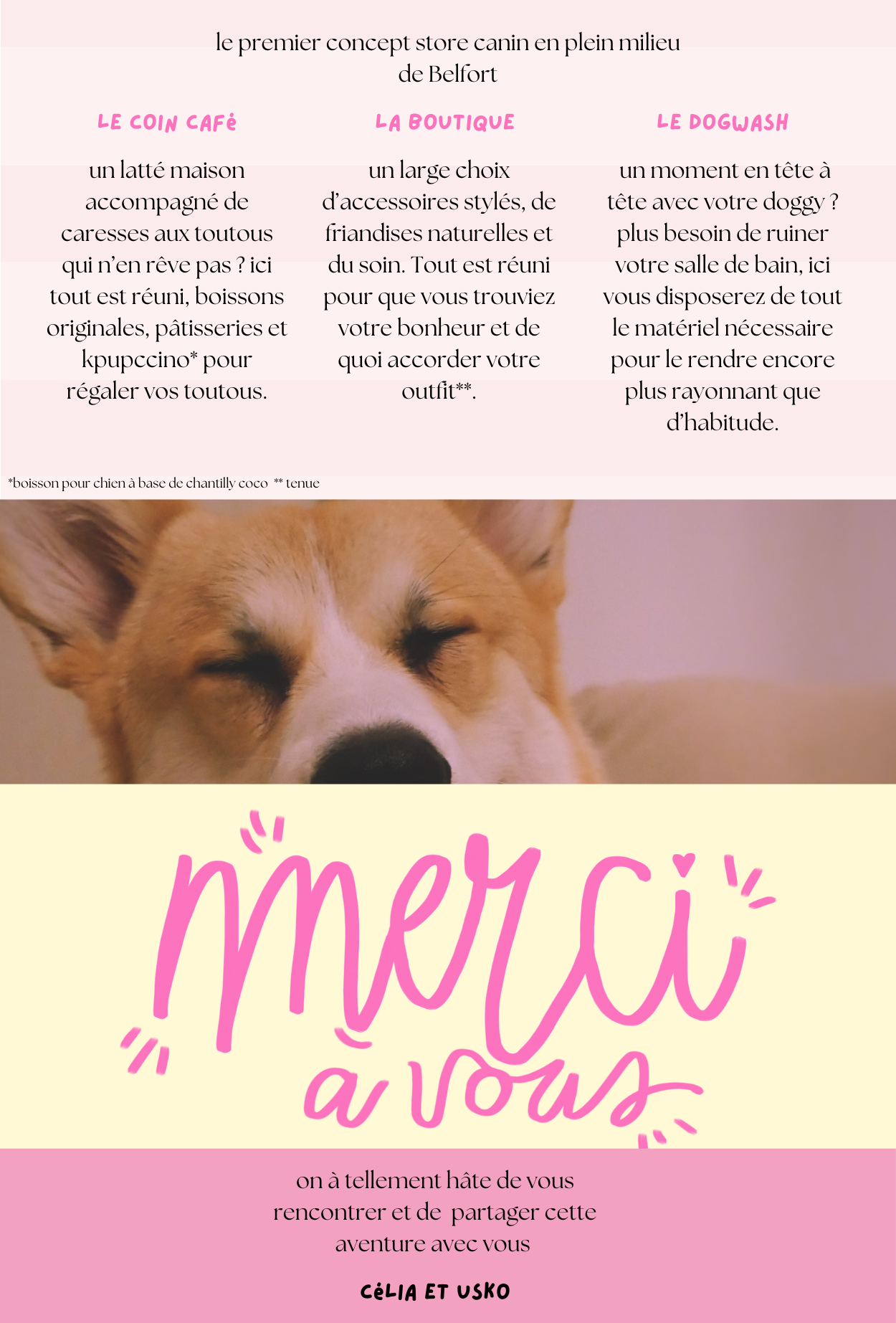 Premier concept store canin à Belfort ! 🐕 - Ulule