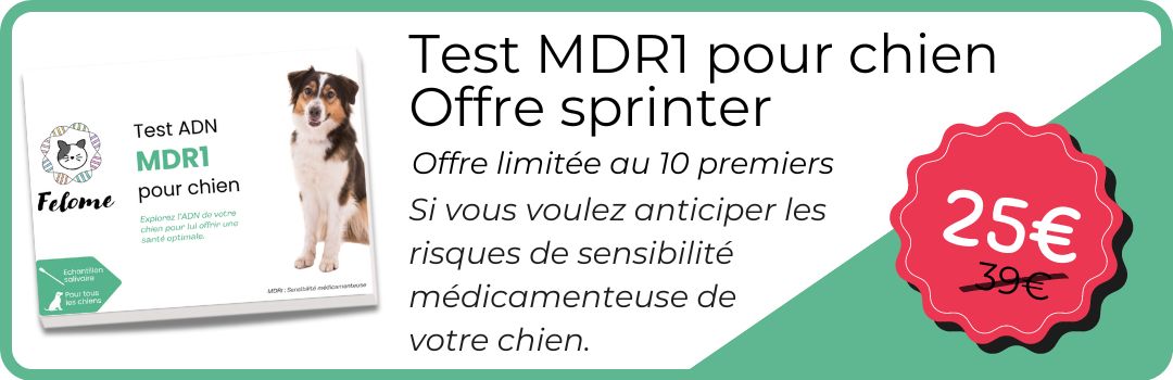 FELOME le test ADN de votre chien