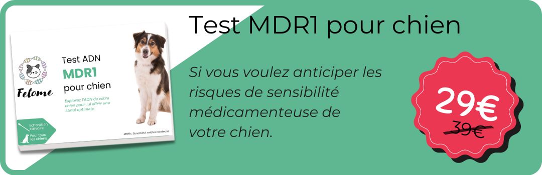 FELOME le test ADN de votre chien