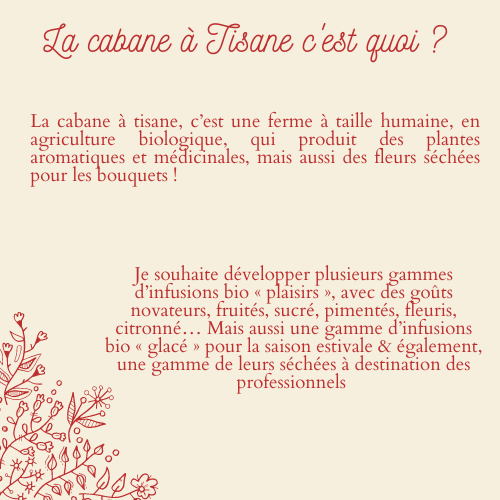 La cabane à Tisane