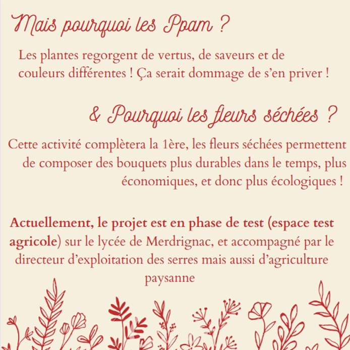La cabane à Tisane