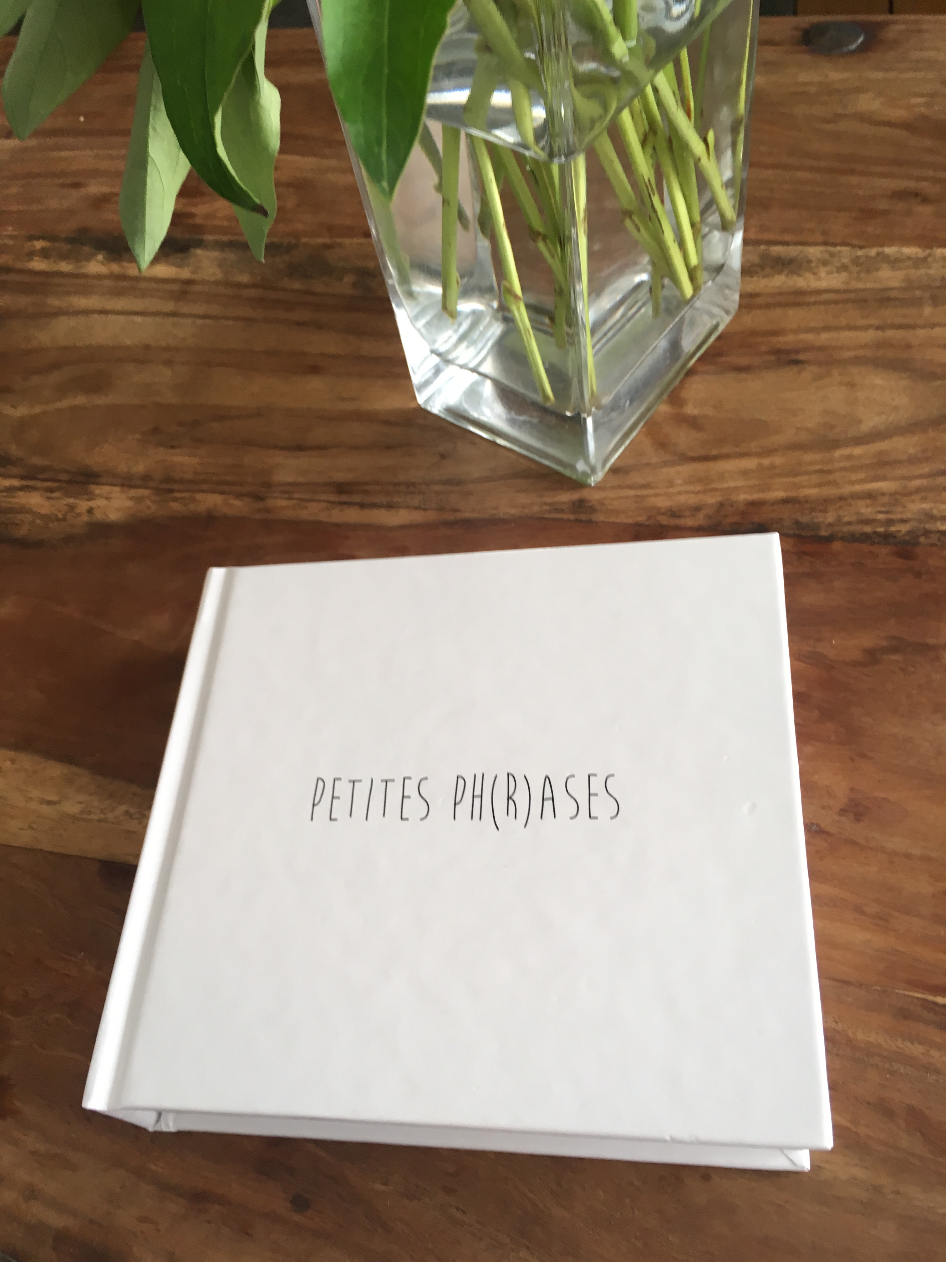 Livre Petites Ph(r)ases - Volume 2