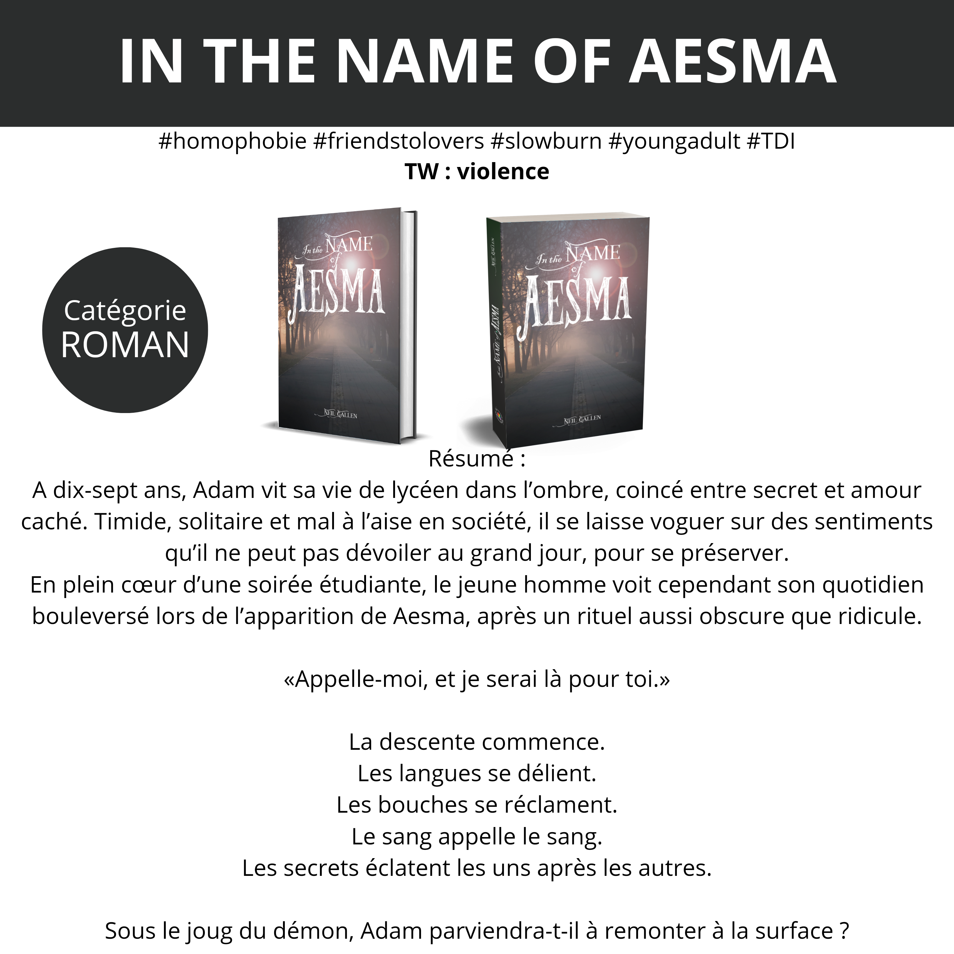 Les Romans de Neil Gallen - Ulule