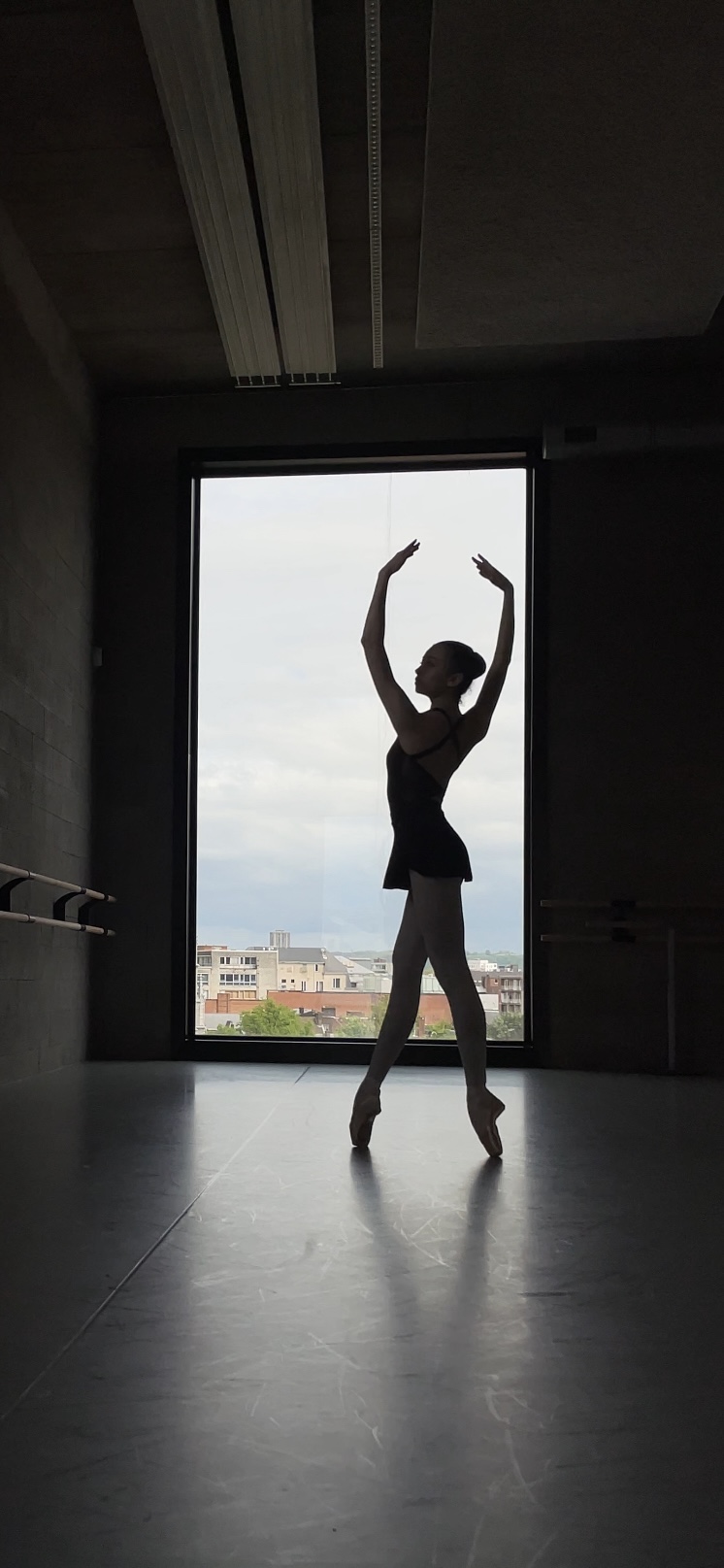 Ma formation de danseuse professionnelle Mosa Ballet School - Ulule
