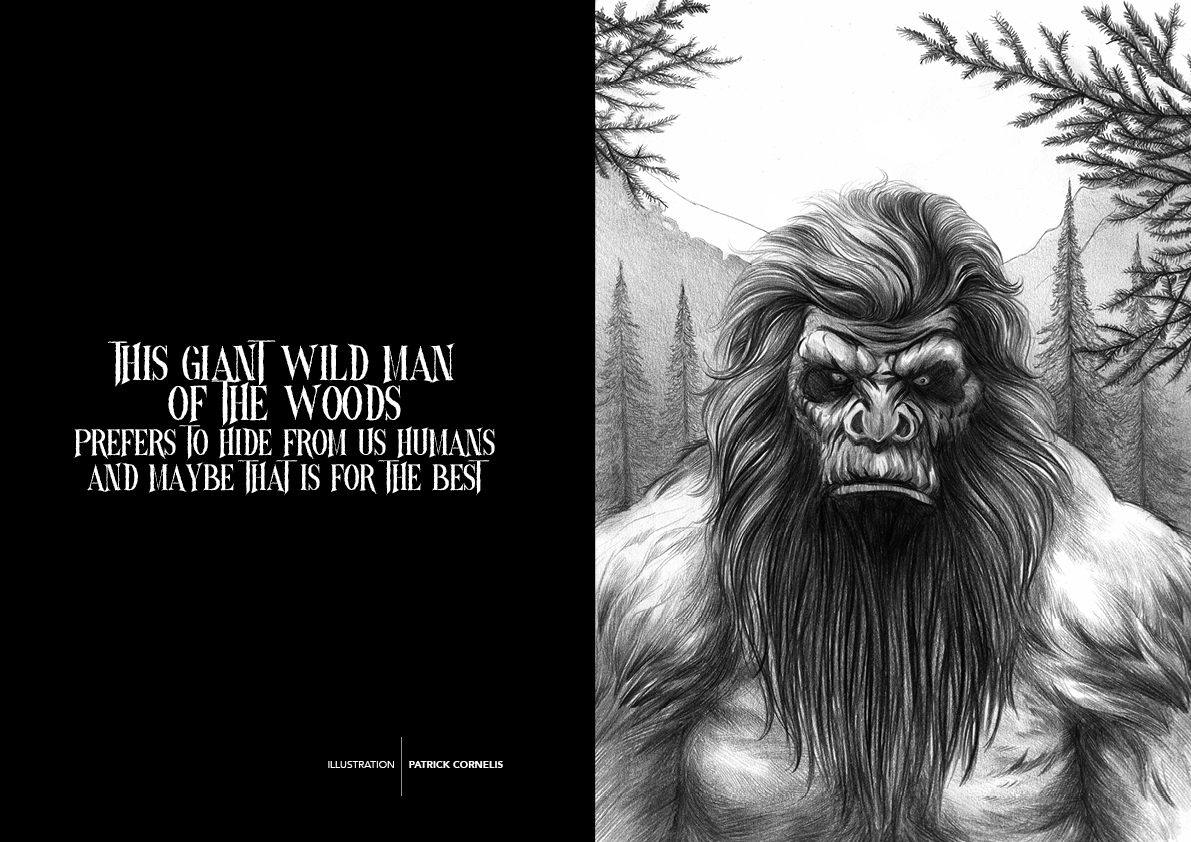 Artbook The Occult - Ulule
