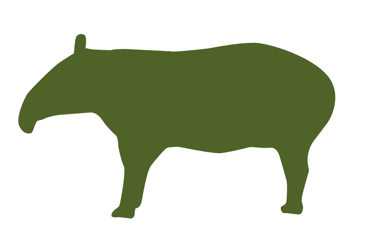 Un nouveau sanctuaire pour les tapirs ! - Ulule