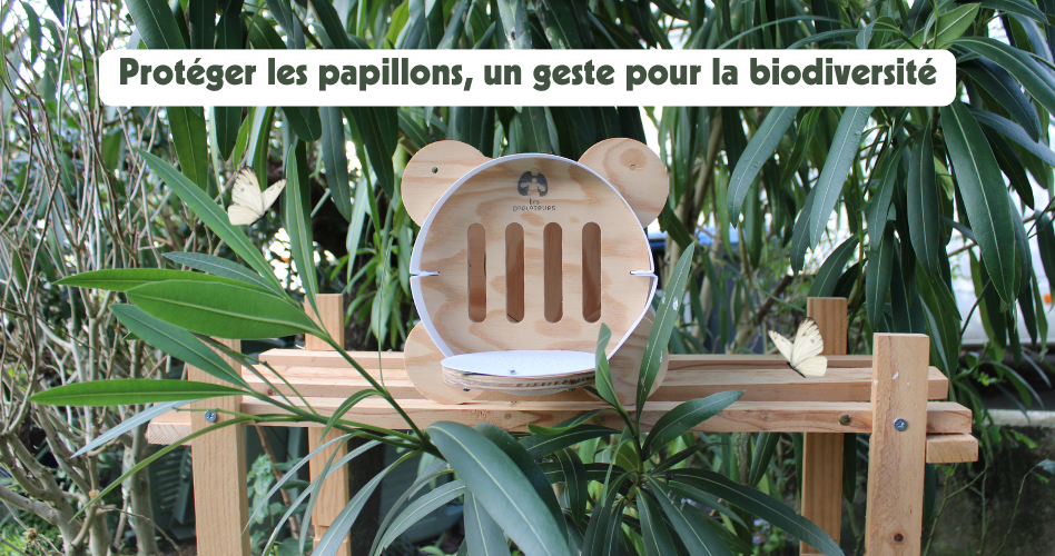 ⏳ Un Abri pour Observer, Protéger et Nourrir les Papillons - Ulule