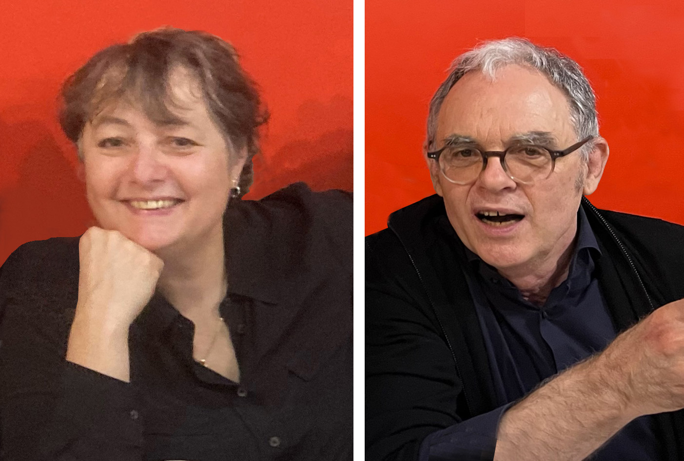 Sauvons les éditions Le Baiser du Frelon - Ulule