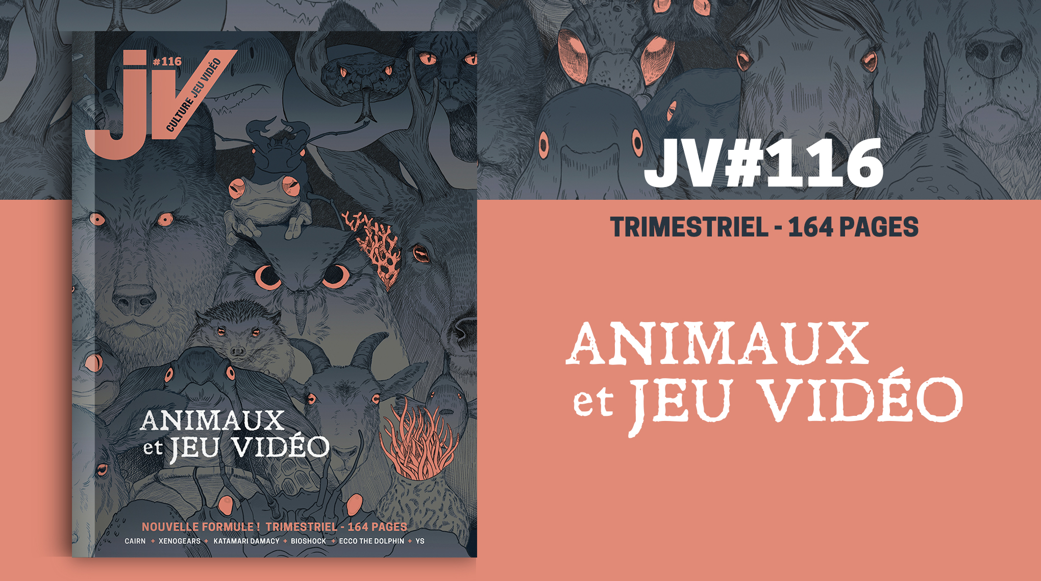 JV - hors-série 50 curiosités - Ulule