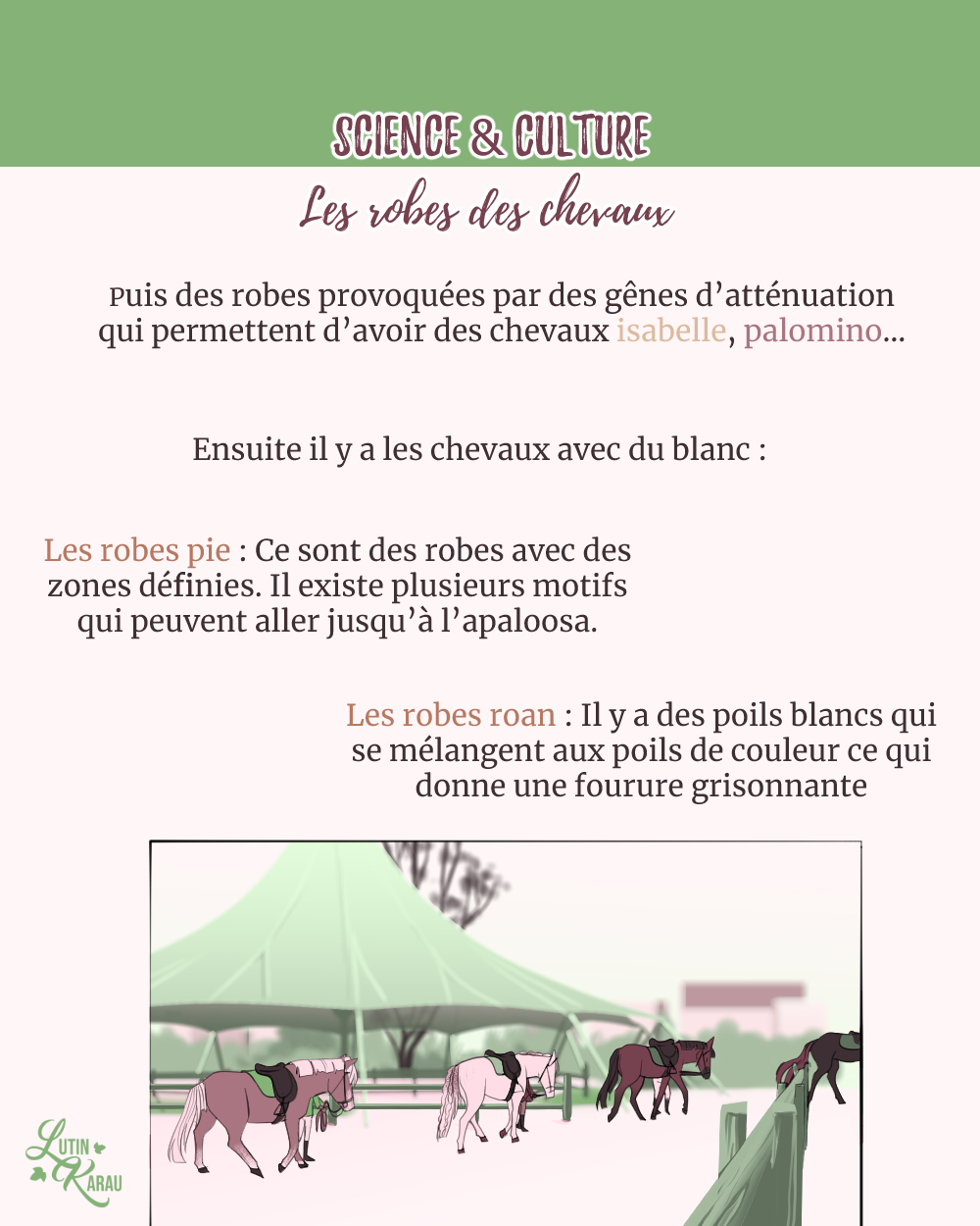 Réincarnée dans mon Cheval en version papier - Ulule