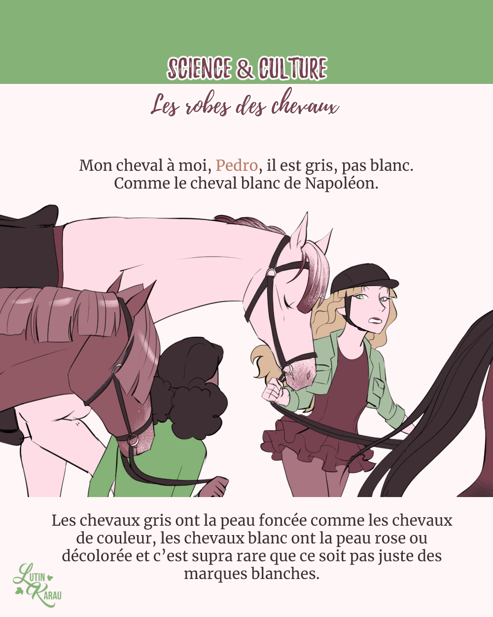 Réincarnée dans mon Cheval en version papier - Ulule