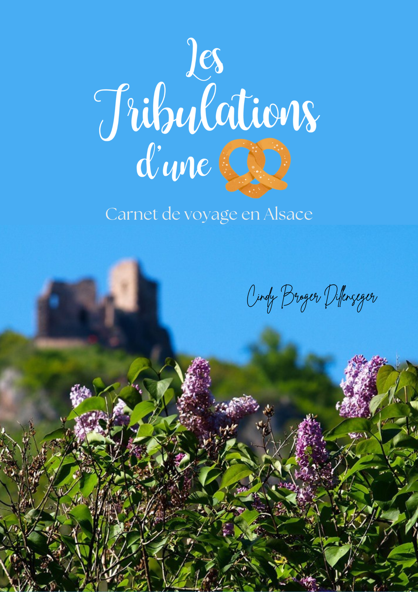 Les Tribulations d’une Bretzel – un voyage en Alsace