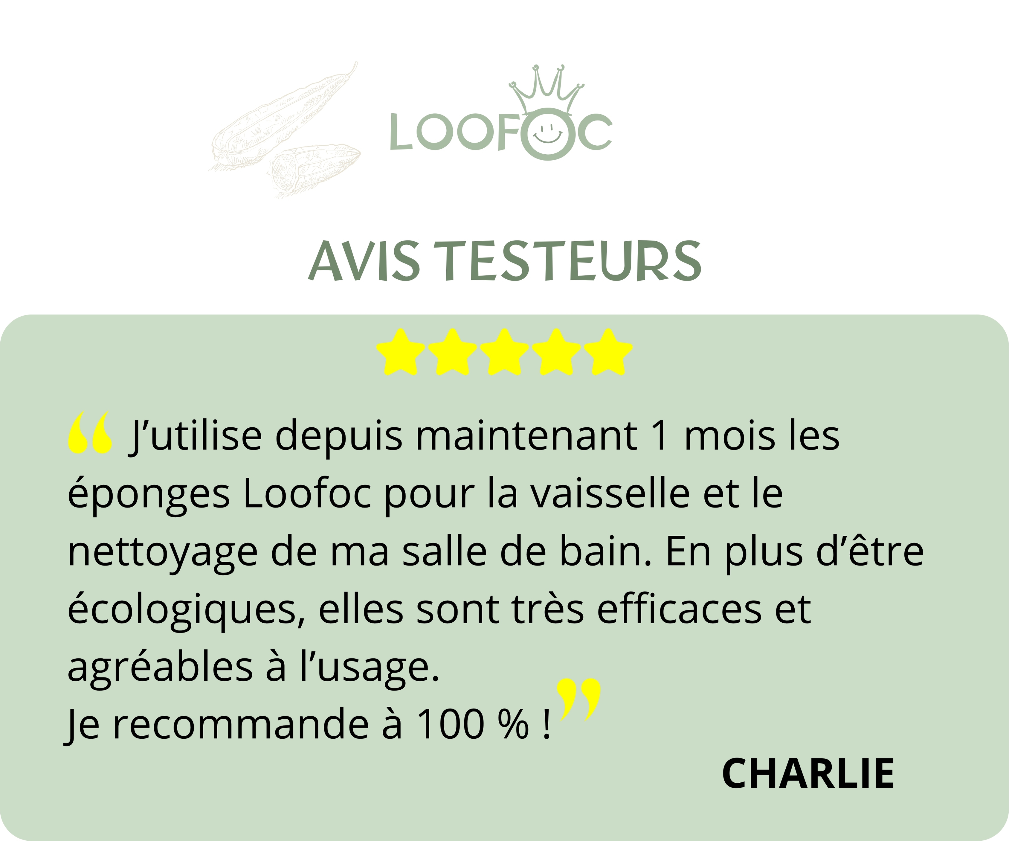 Le légume qui nettoie ta maison et plus si affinités - Ulule