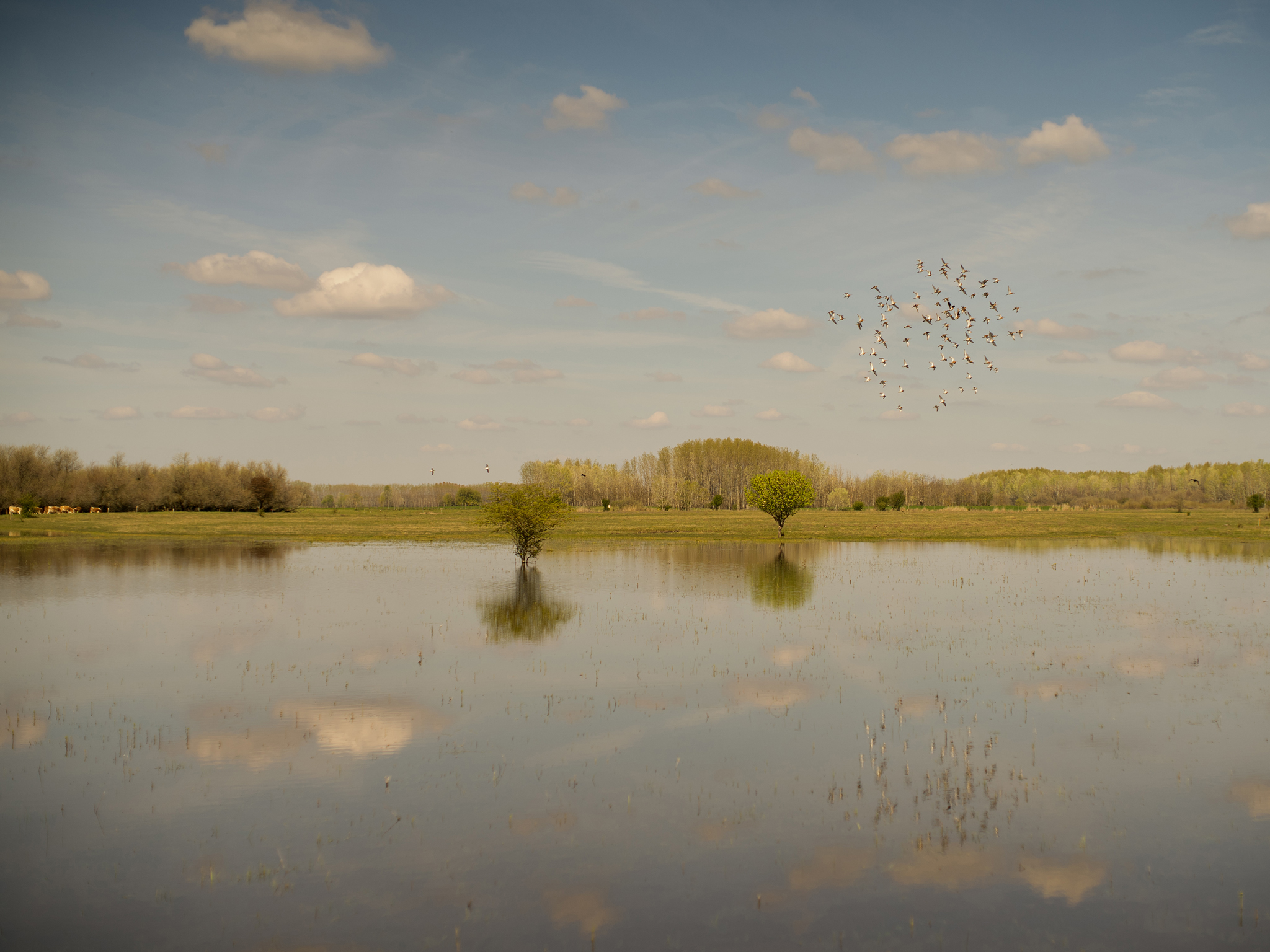 What Remains in the End — PHOTOBOOK by Zsolt Balázs - Ulule