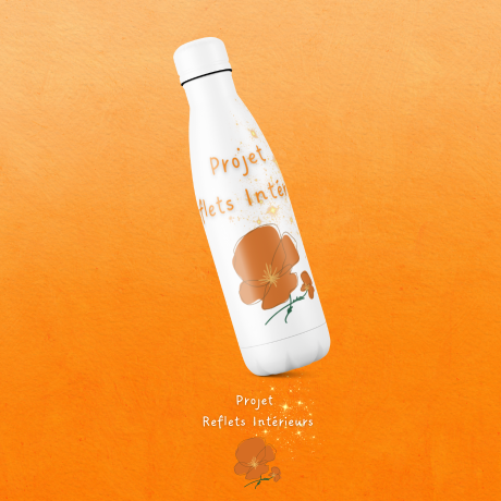 Projet Reflets Intérieurs