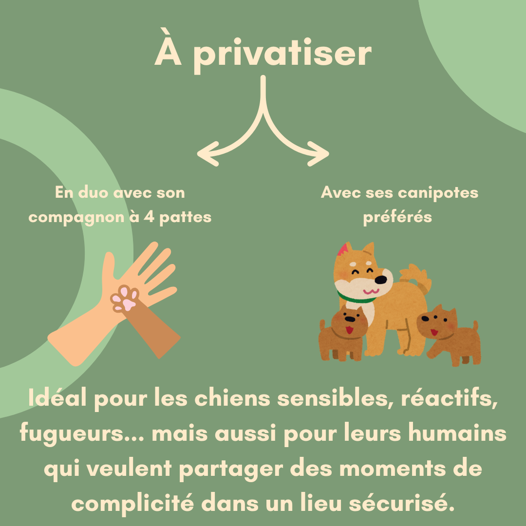 Centre aéré canin & Parc à privatiser pour chiens à Toulon