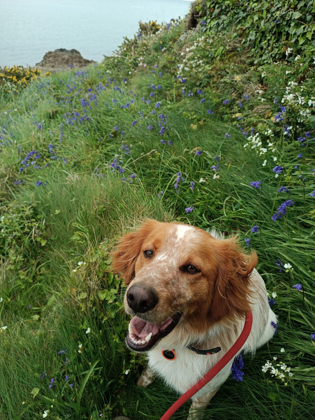 Aidez le Moulin et la Coopérative à passer le cap des 3 ans - Ulule