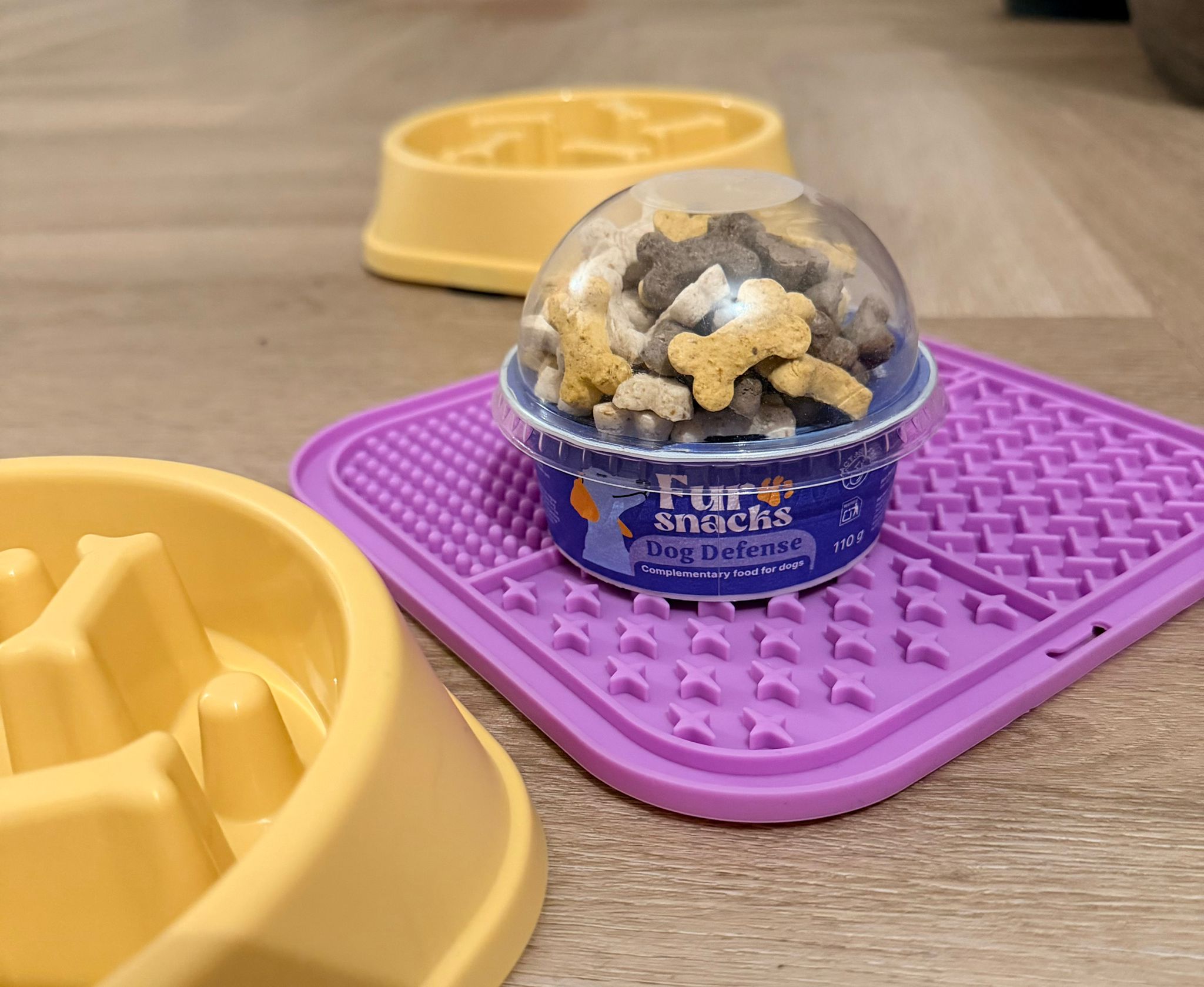 The first breakfast ritual for dogs - Ulule