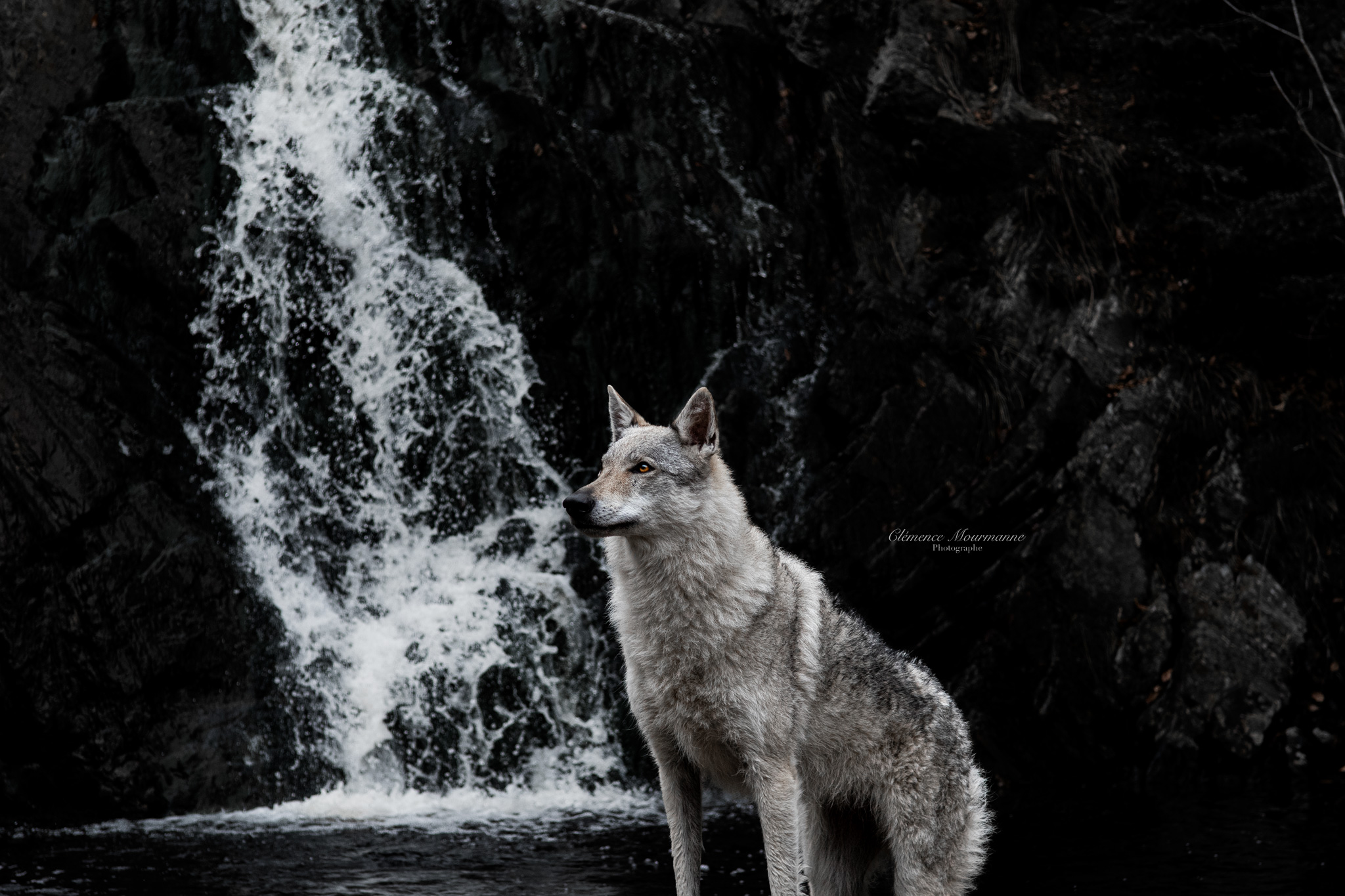 Un coup de pouce pour rallumer ma passion - Ulule