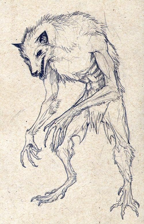 Le Loup — Court-métrage - Ulule