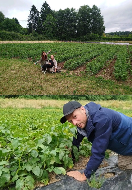 Produire des Bons légumes bio pour les cantines scolaires - Ulule
