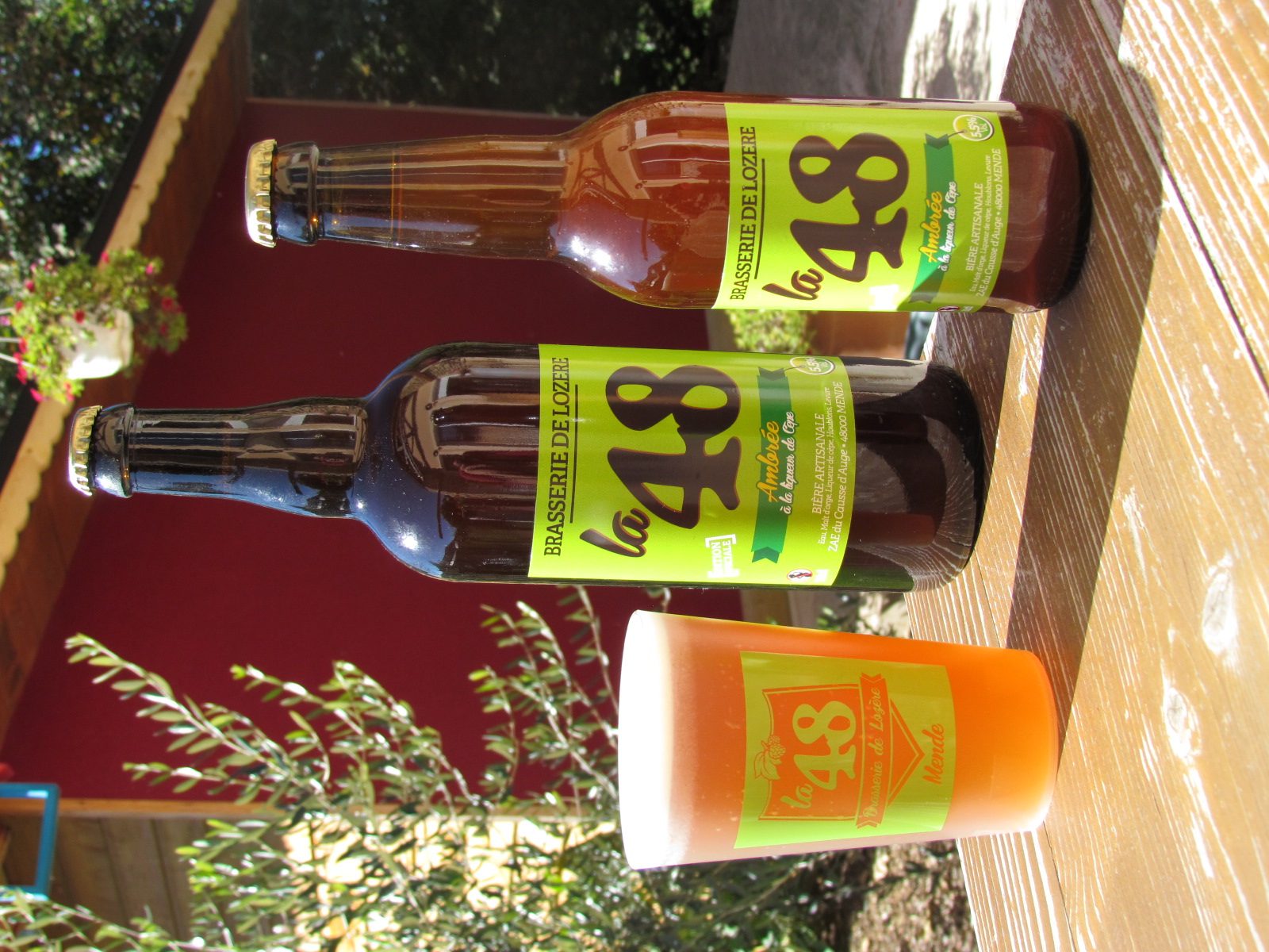 Jordy Martin - Ulule