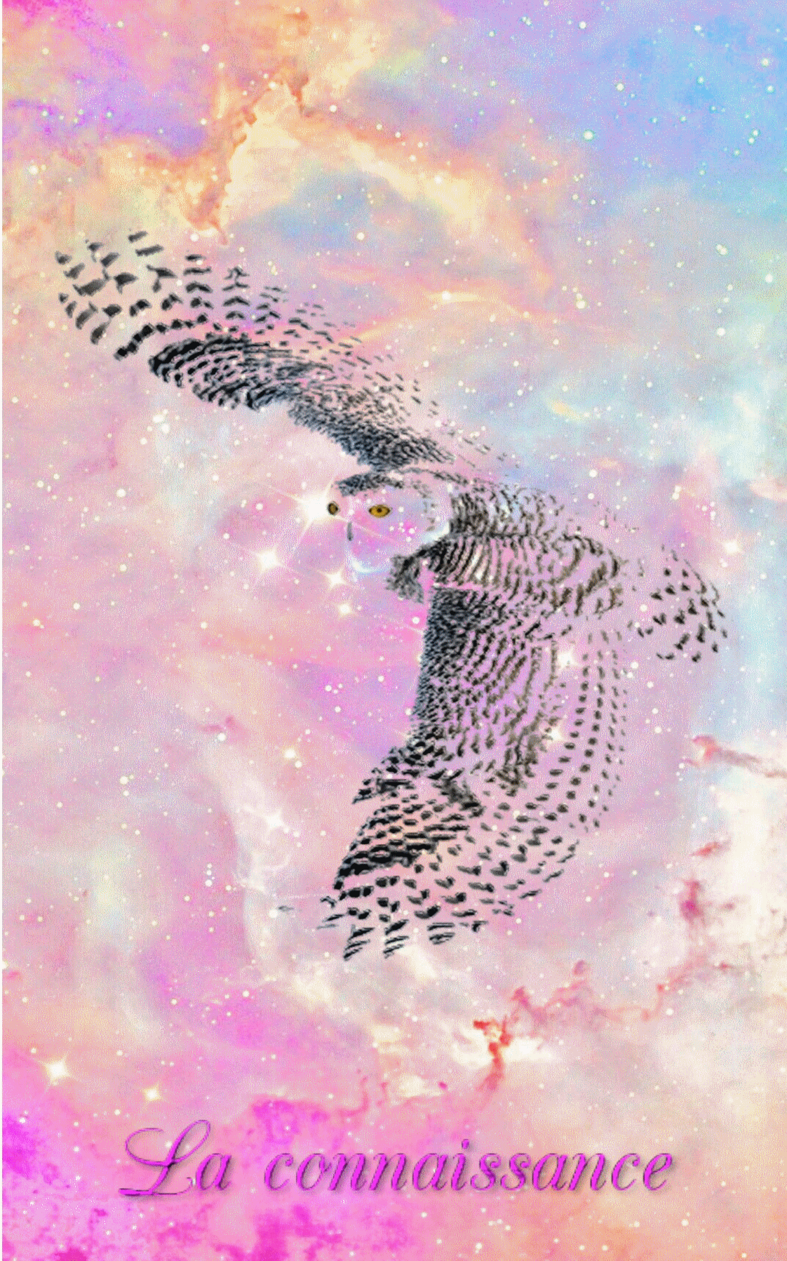 L'Oracle des Puissances - Ulule