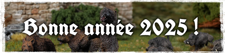 Pillage, le jeu de bataille du haut Moyen Âge - Ulule