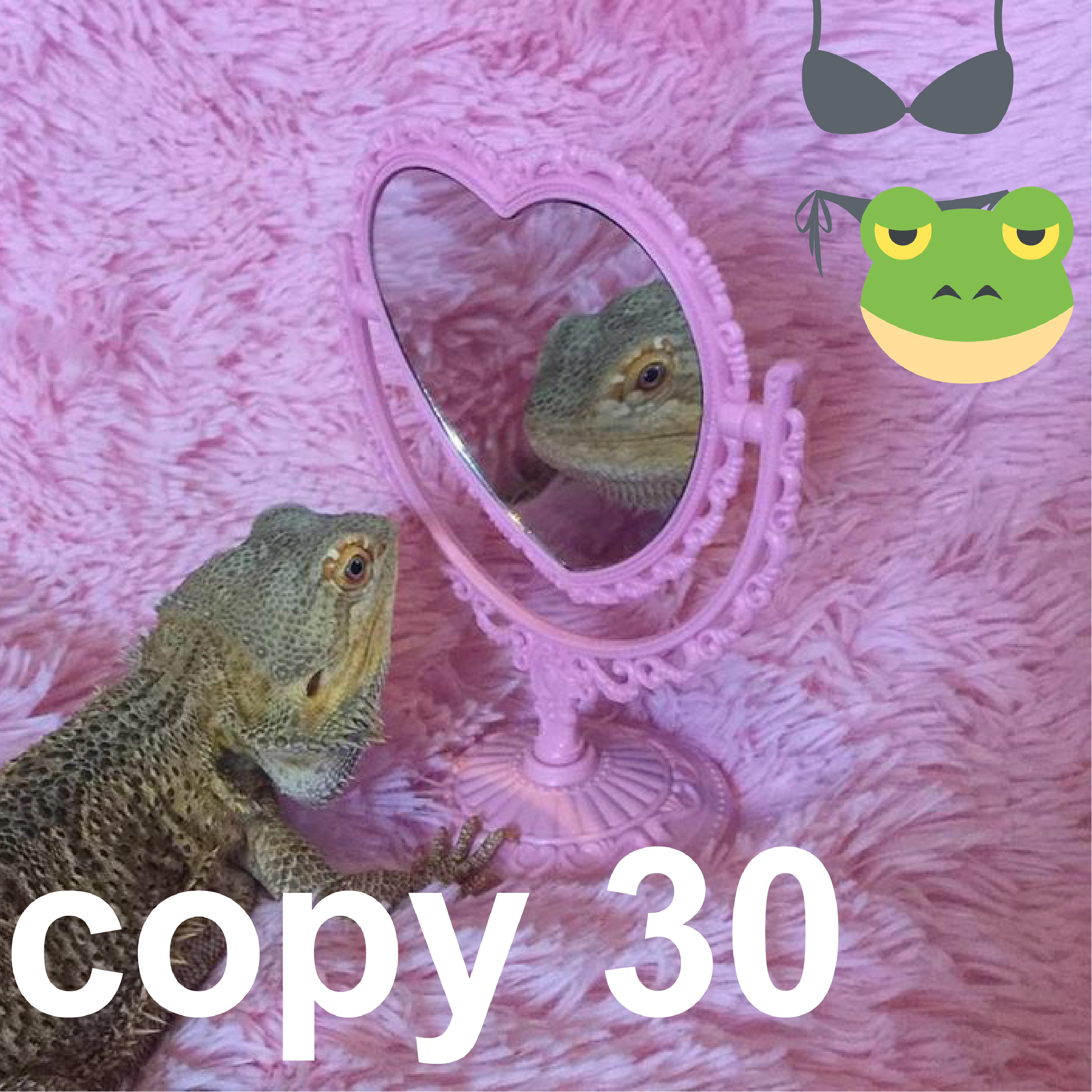 1er EP de Copycat - Ulule