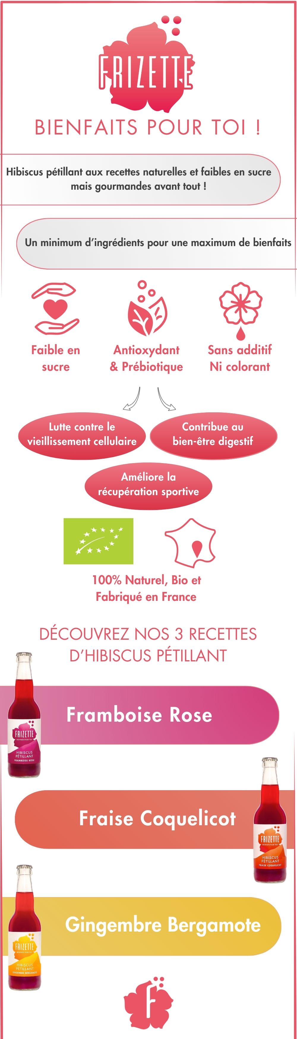 FRIZETTE - Hibiscus Pétillant