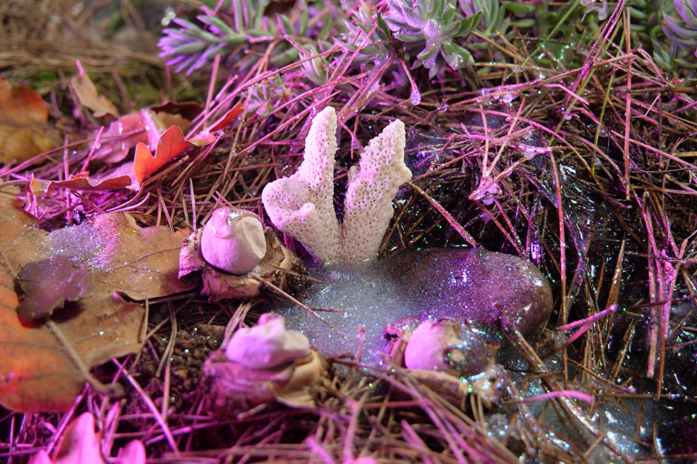 La sortie vinyle d'Al Alba de Clara Buffey & Leo Peralta - Ulule