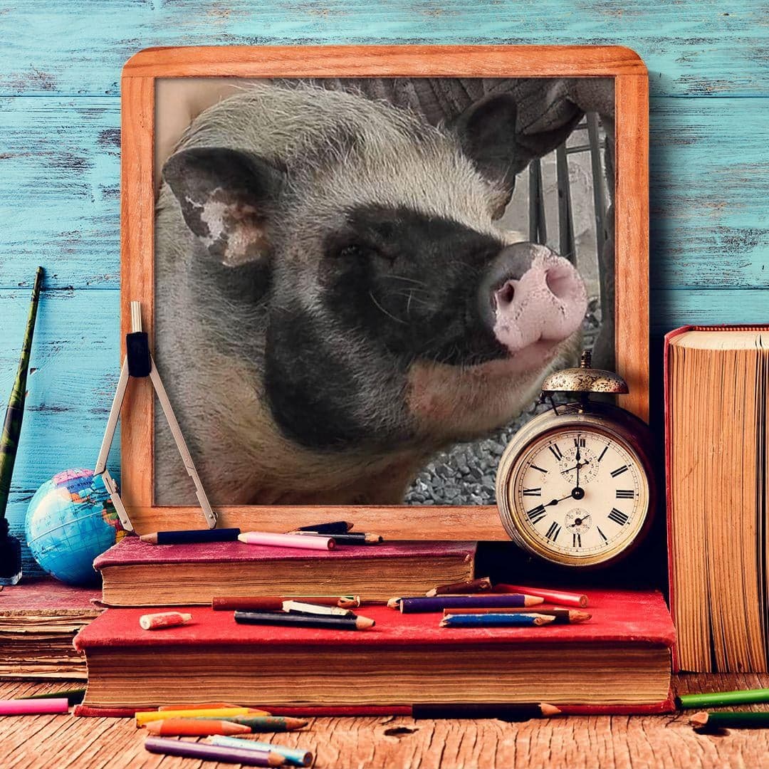 patricia-debray - Ulule