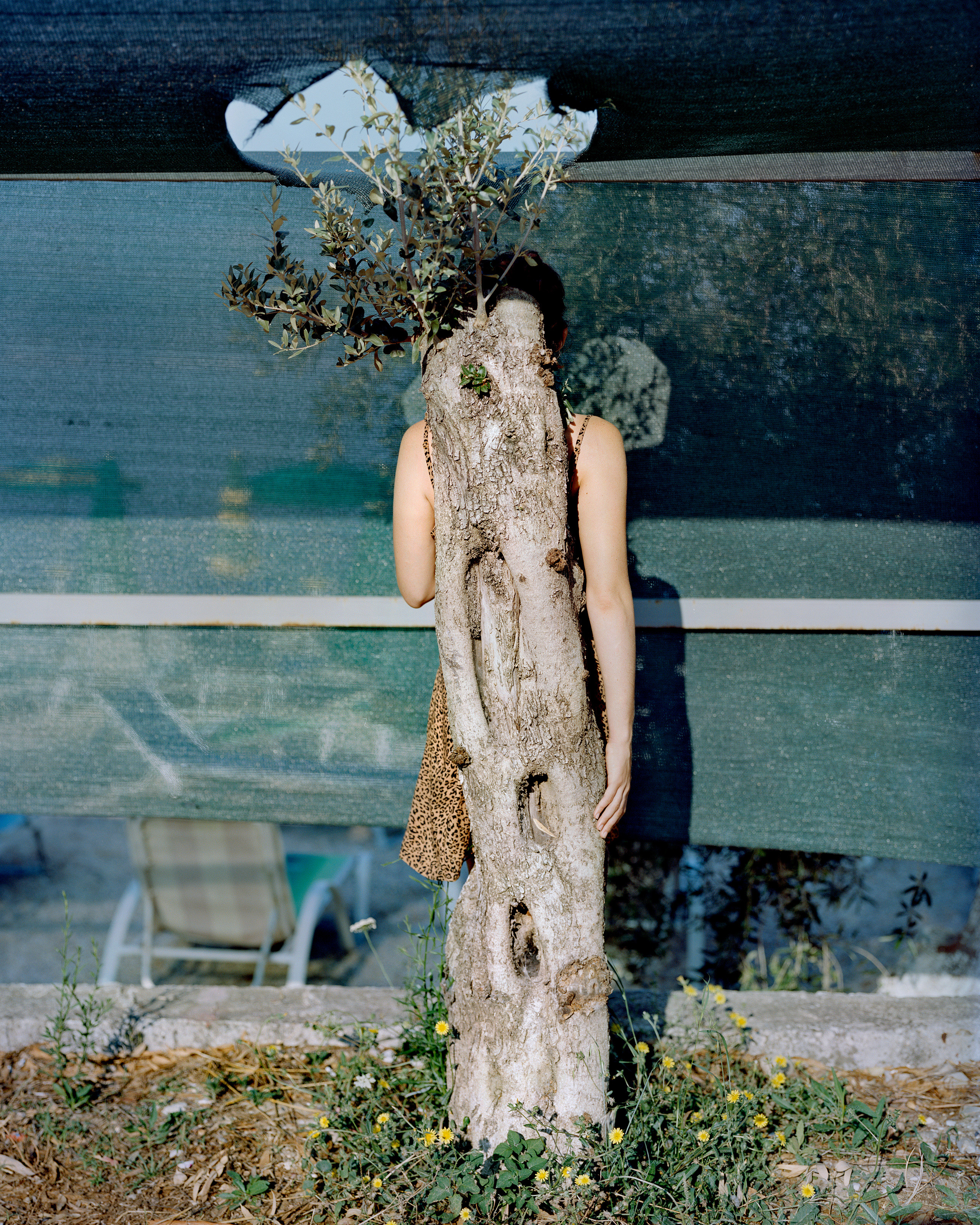 The Nature of Things - PHOTOBOOK - Ulule