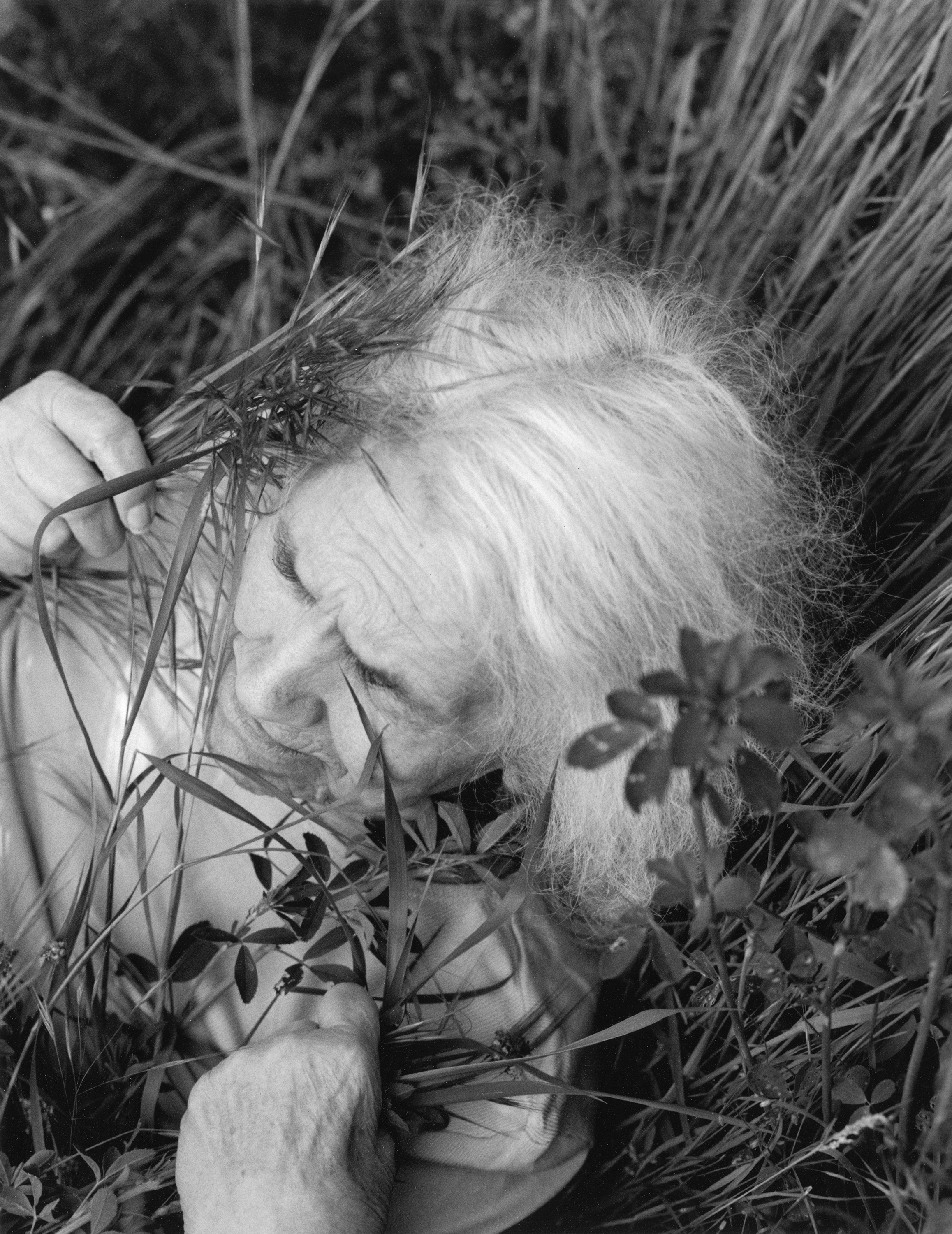 The Nature of Things - PHOTOBOOK - Ulule