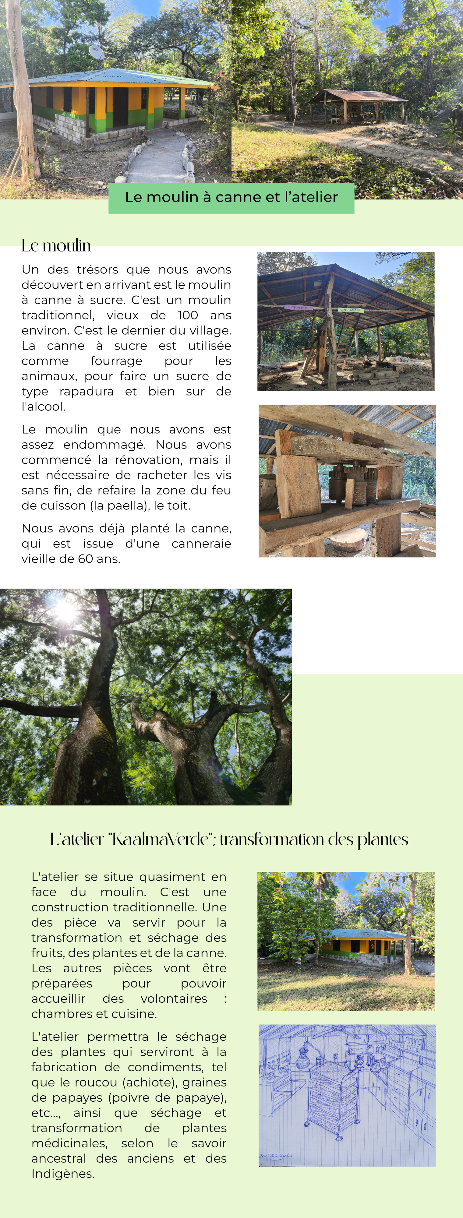 Rénovation d'un atelier et du moulin à canne à sucre - Ulule