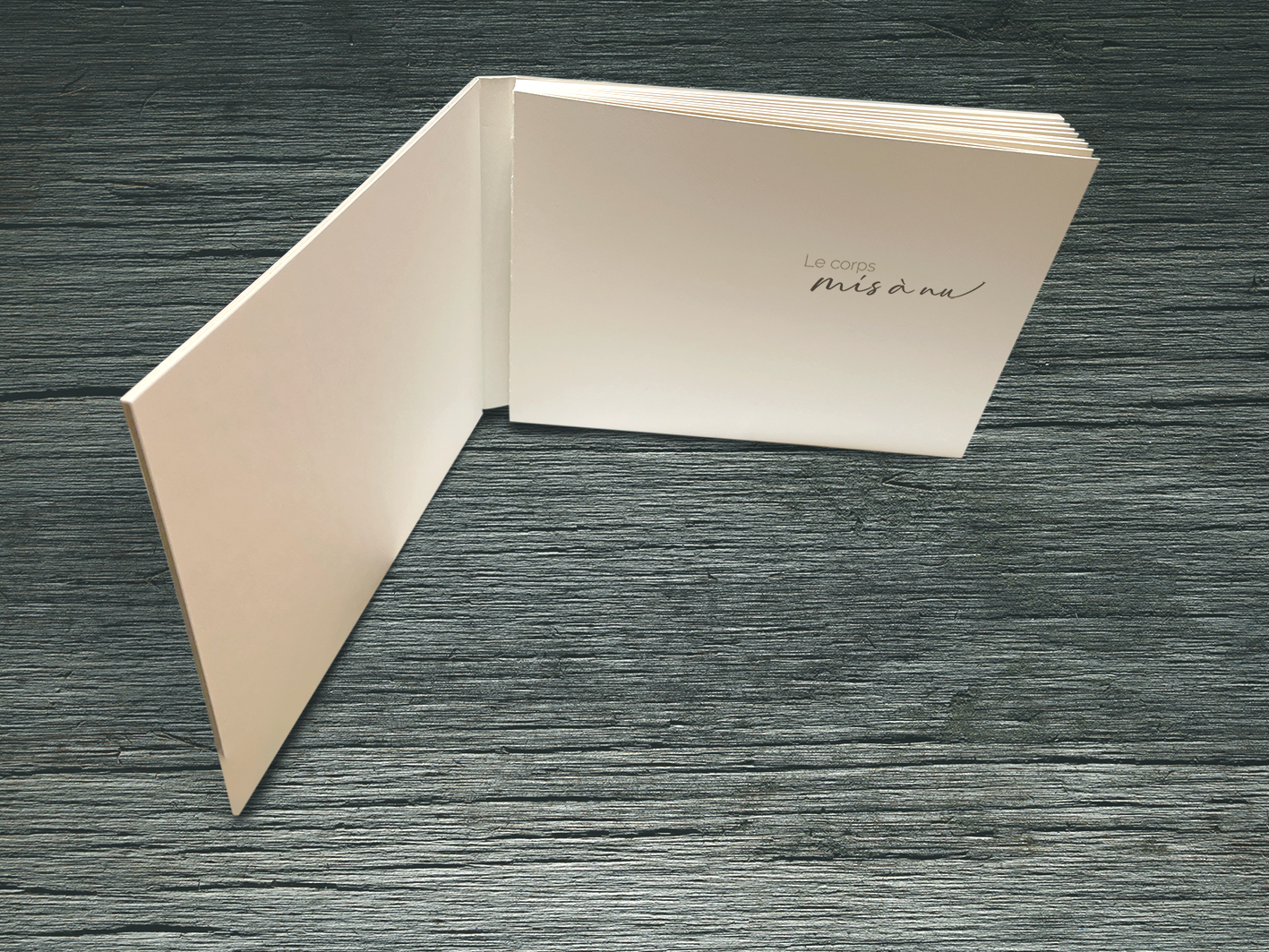 "Le corps mis à nu" livre d'art - dessins et textes