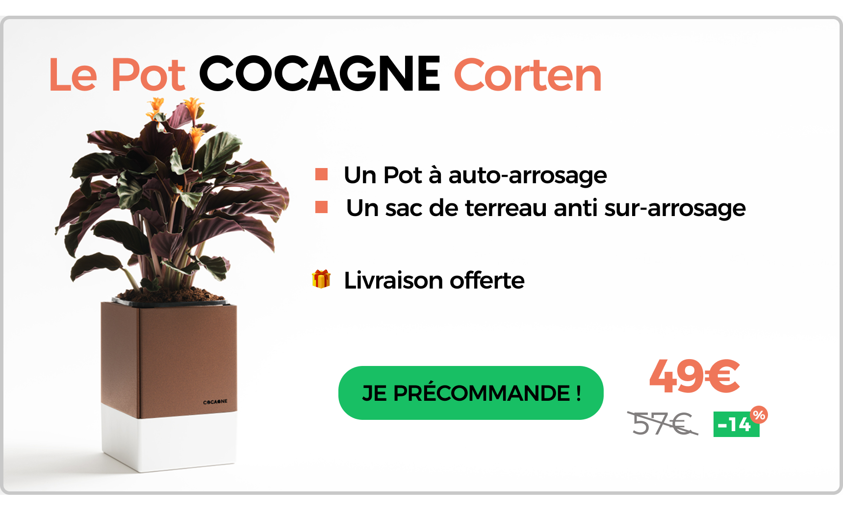 Avec les pots COCAGNE liberez vos plantes - Ulule