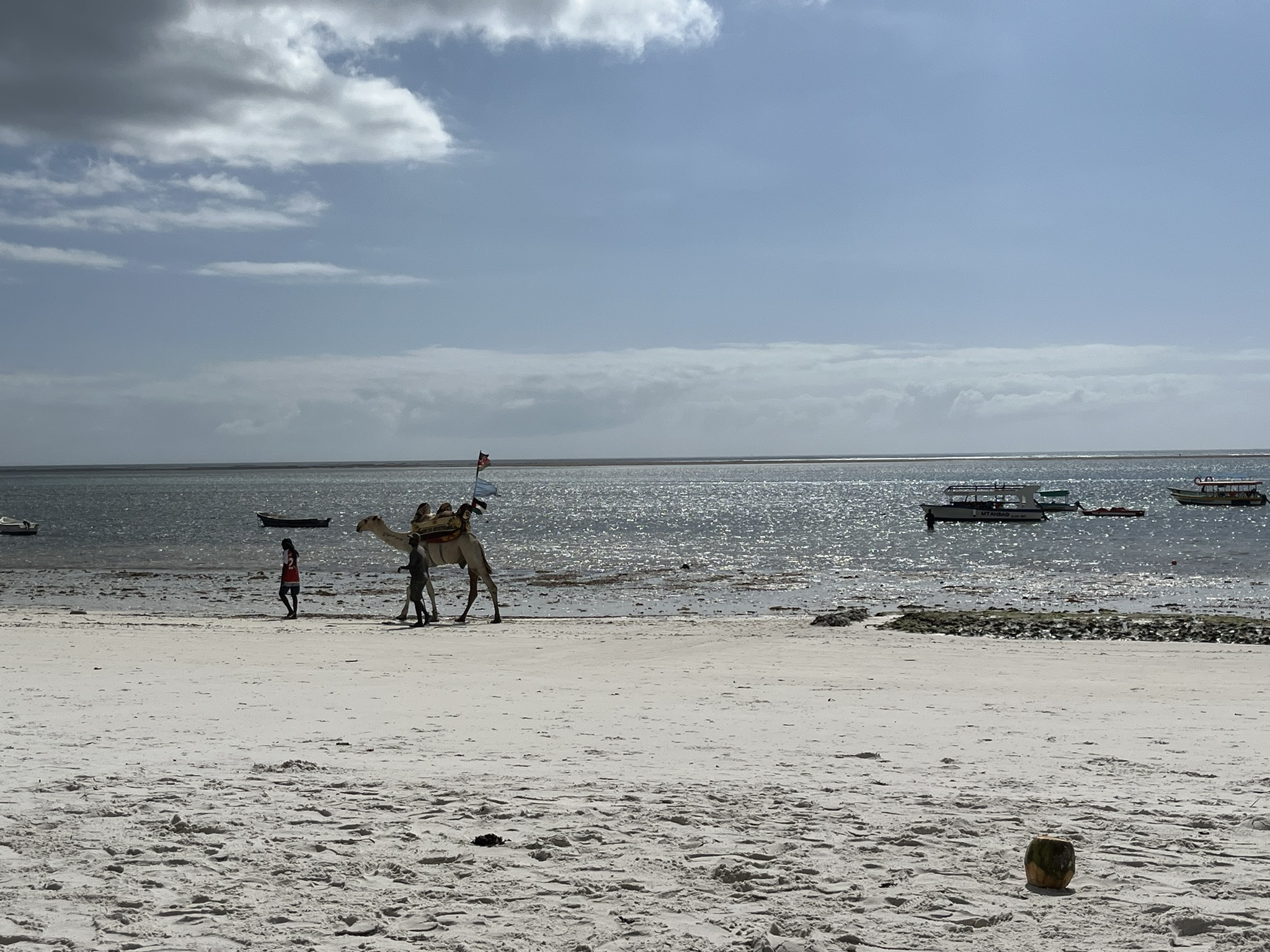 Safari to the land of my tulivu friends