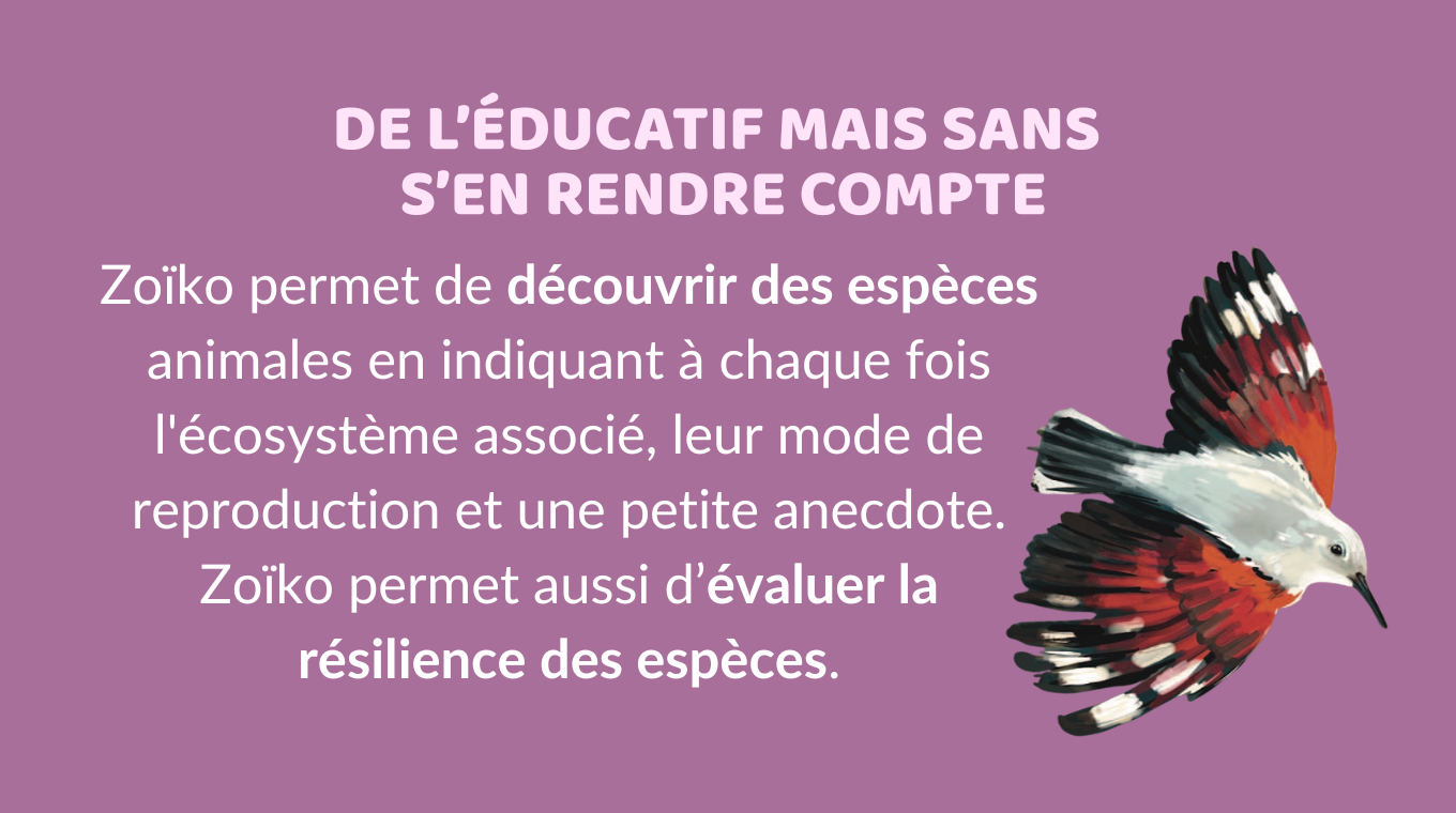 Zoïko, le beau jeu de société sur la biodiversité - Ulule