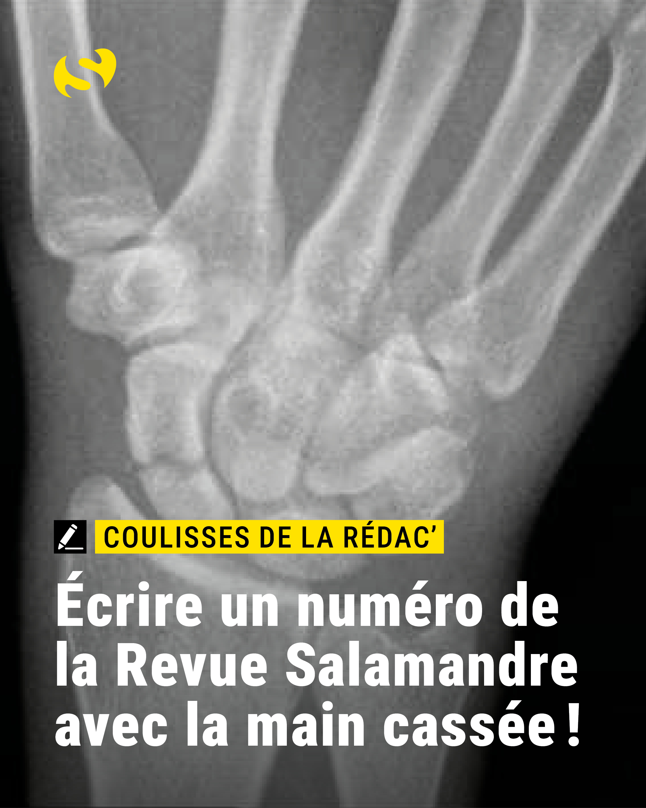 La Revue Salamandre se métamorphose ! - Ulule