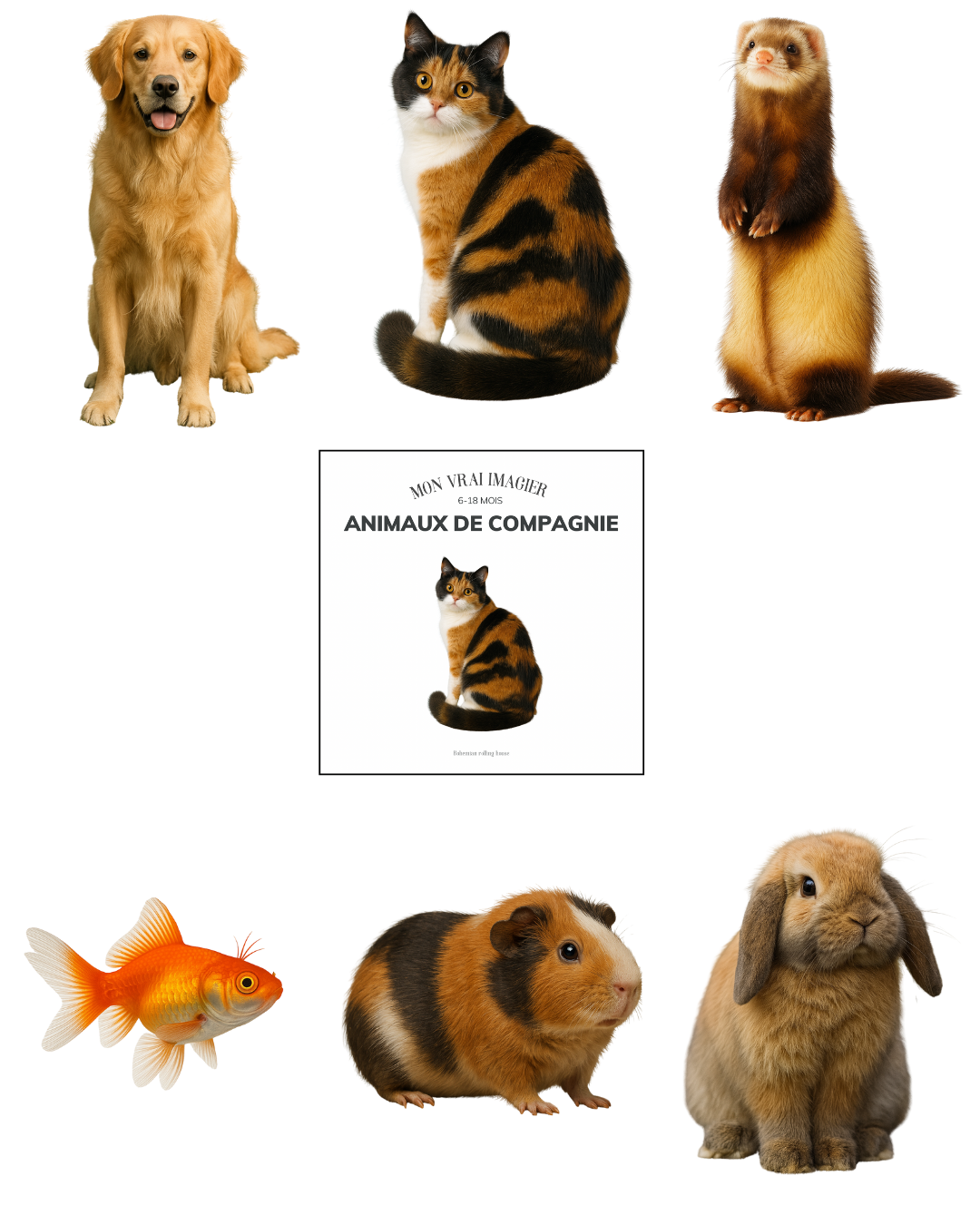 Mon vrai imagier – 6-18 mois - Ulule