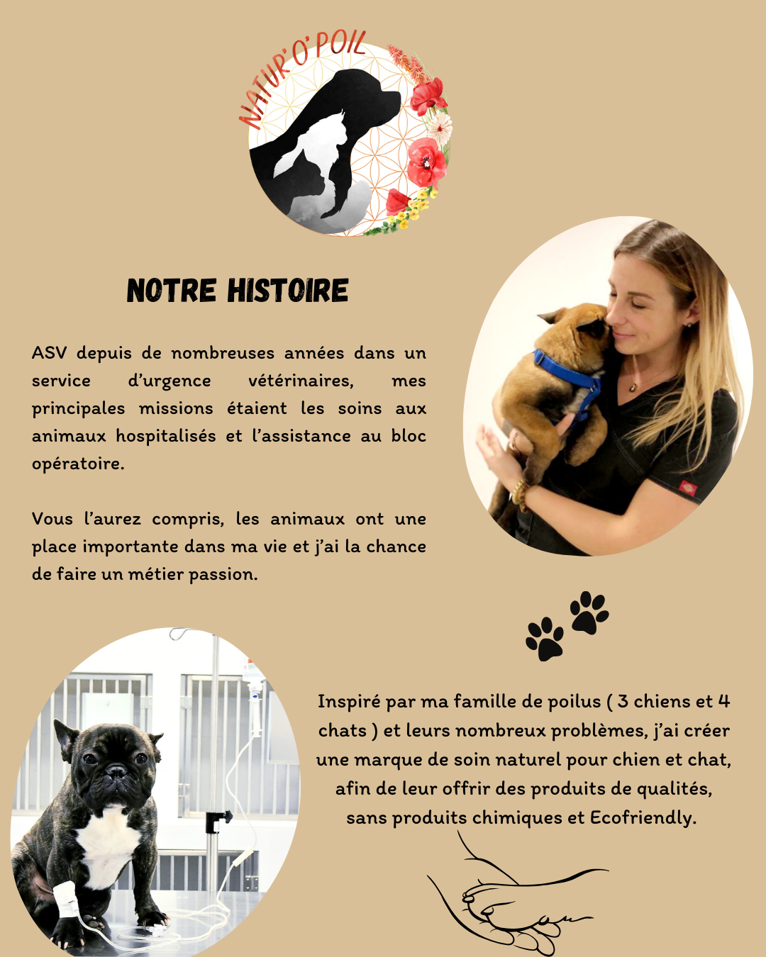 Soins naturels pour chien et chat