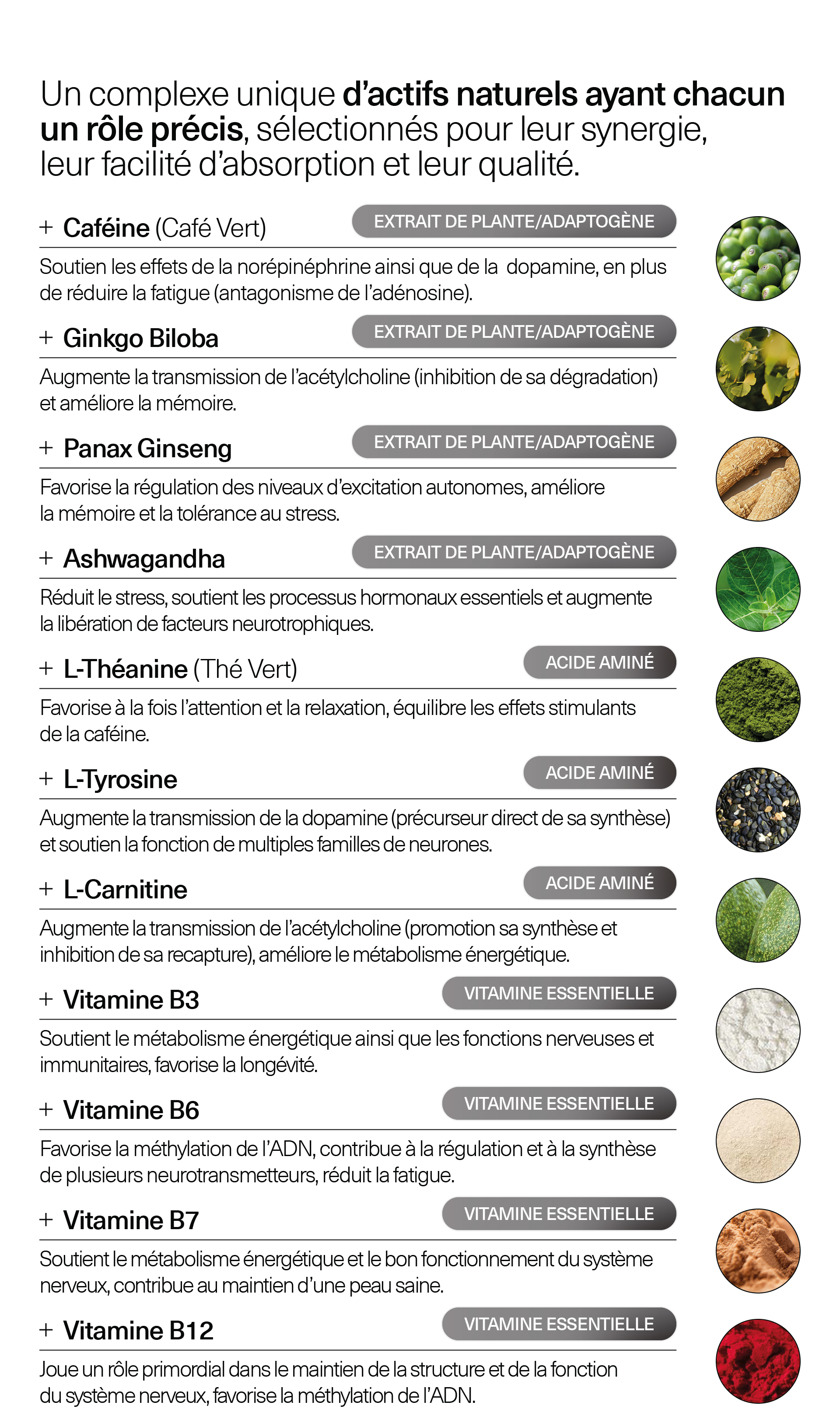 ACTIVATE - Performance intellectuelle et physique