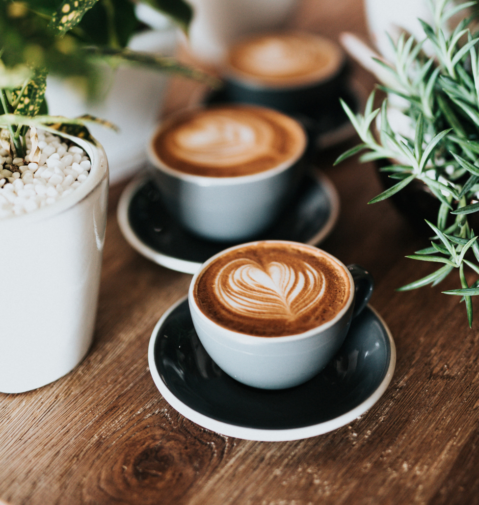 Aidez-nous à faire éclore Rainbow