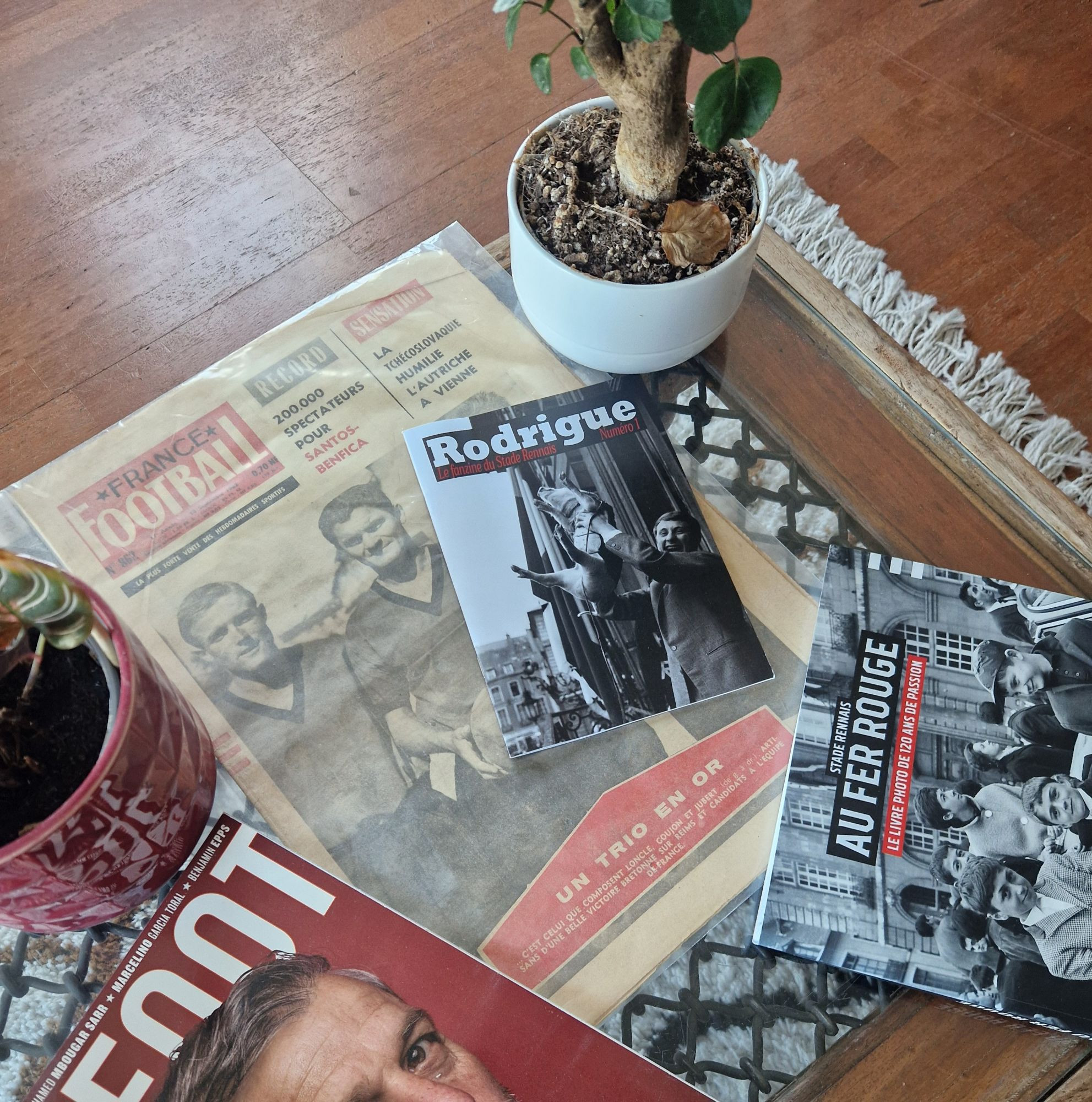 Rodrigue, le fanzine du Stade Rennais - Numéro 2