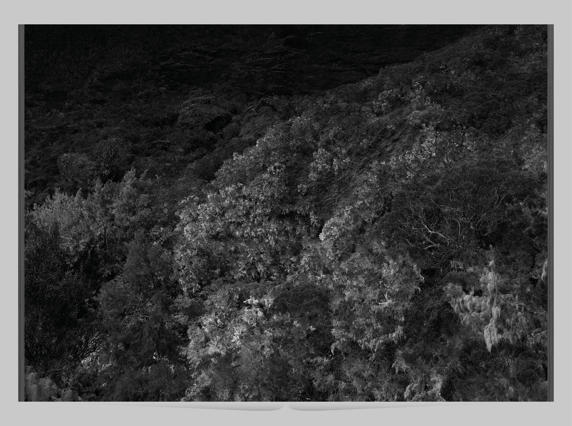 PAYS BRÛLÉ – PÉI BRILÉ – BURNT LAND - Ulule