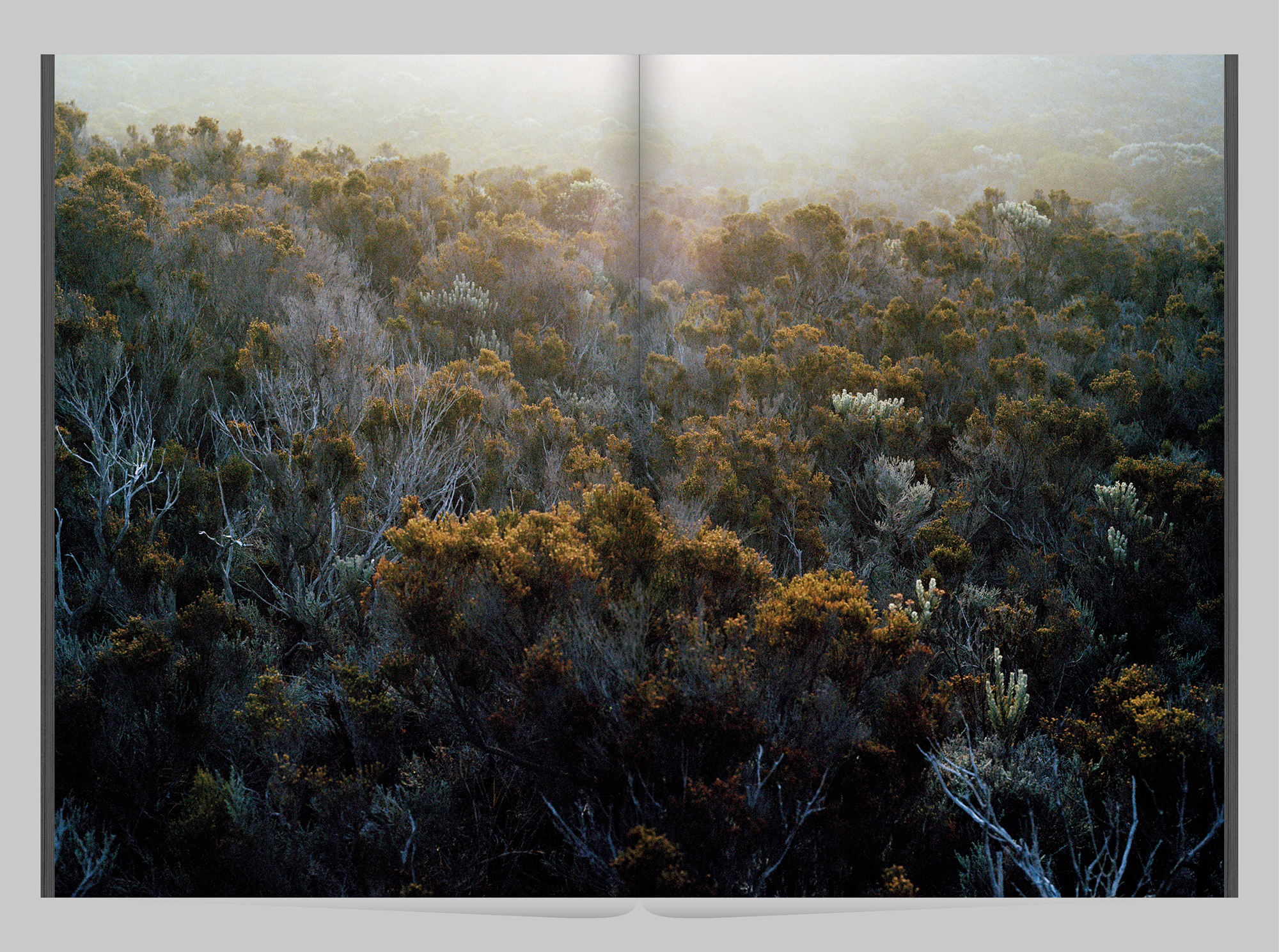 PAYS BRÛLÉ – PÉI BRILÉ – BURNT LAND - Ulule