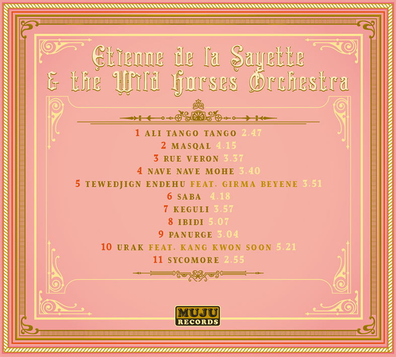 Sortie de l'album Etienne de la Sayette & the WHO